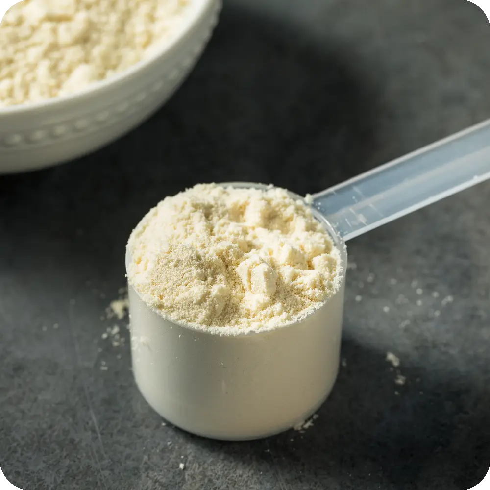 Complete | A Top-tier Meal Replacement Protein Powder | Unicity