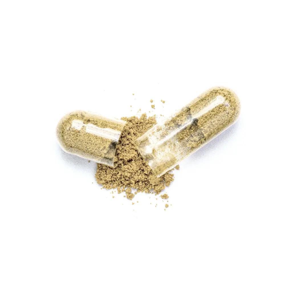 Paraway Plus Gut Health & Microbiome Cleanse Herbal Digestive Support